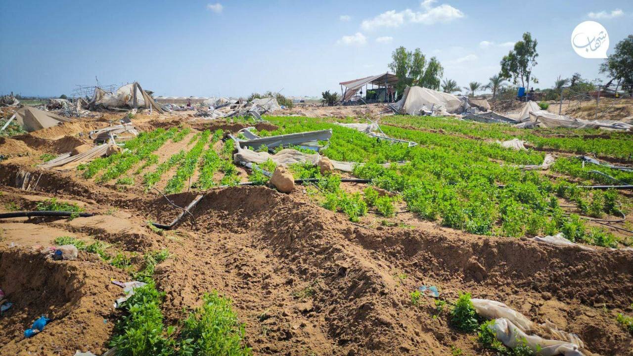 تخریب آخرین سبد غذایی فلسطینیان در جنوب نوار غزه پایگاه اطلاع رسانی رجا